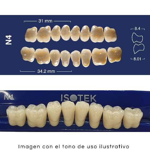 DIENTE ISOTEK INF B2 1X8 N3 - GeoTec Dental
