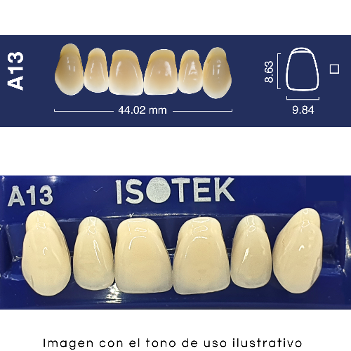 DIENTE ISOTEK SUP A1 1X6 A12 - GeoTec Dental