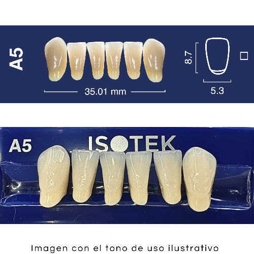 DIENTE ISOTEK INF A3.5 1X6 A3 - GeoTec Dental